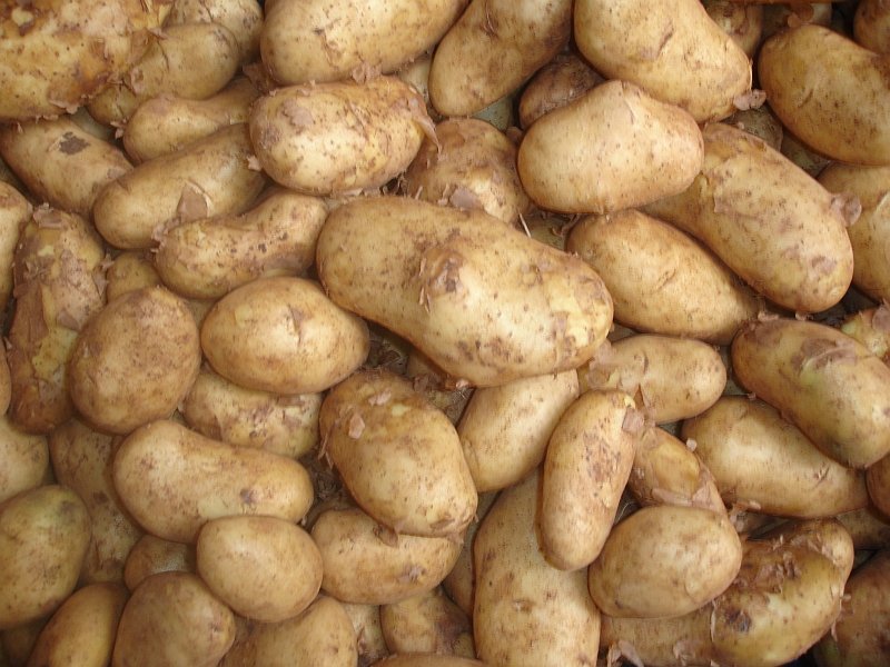 BRAMBORY Grenaille 10kg Německo - Potraviny domů, nákup online